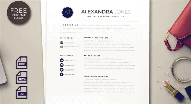 51 Best InDesign Resume Templates To Make Your Resume Stand Out
