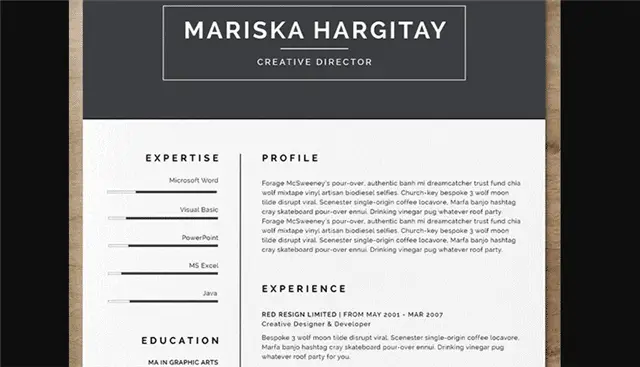 51 Best InDesign Resume Templates To Make Your Resume Stand Out