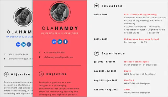 51 Best InDesign Resume Templates To Make Your Resume Stand Out