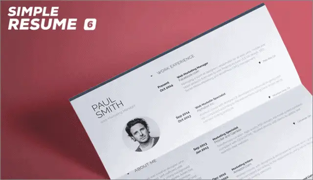51 Best InDesign Resume Templates To Make Your Resume Stand Out