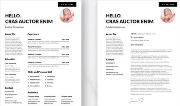 51 Best InDesign Resume Templates To Make Your Resume Stand Out
