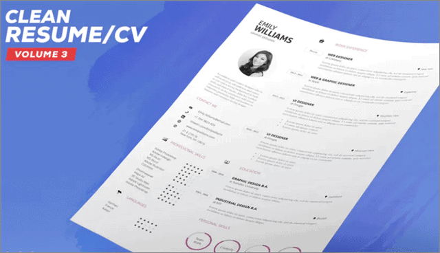 51 Best InDesign Resume Templates To Make Your Resume Stand Out
