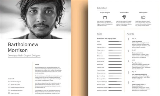 51 Best InDesign Resume Templates To Make Your Resume Stand Out