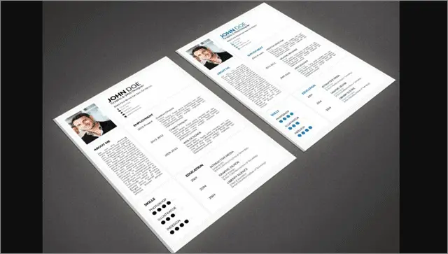 51 Best InDesign Resume Templates To Make Your Resume Stand Out