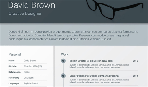 51 Best InDesign Resume Templates To Make Your Resume Stand Out