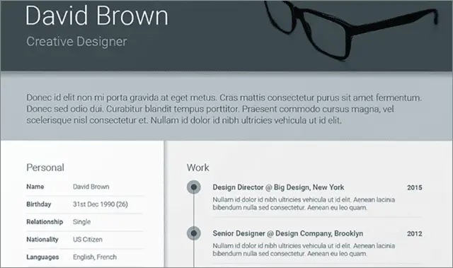 51 Best InDesign Resume Templates To Make Your Resume Stand Out