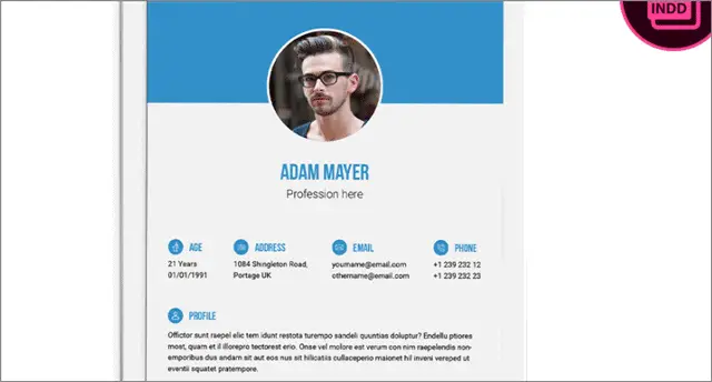 51 Best InDesign Resume Templates To Make Your Resume Stand Out