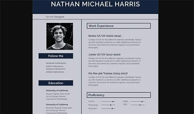 51 Best InDesign Resume Templates To Make Your Resume Stand Out