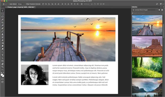 Best Adobe Products To Meet All Your Creative Needs