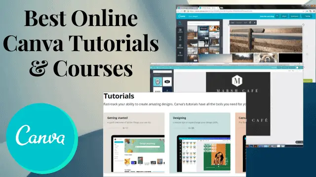 12 Best Online Canva Tutorial And Courses By Experts