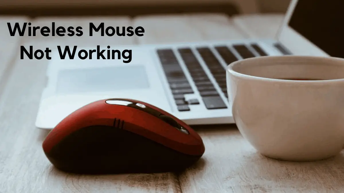 12 Solutions to Fix Wireless Mouse Not Working In Windows 10