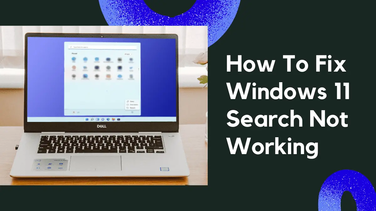 Windows 11 Search Not Working? 18 Solutions To Fix It