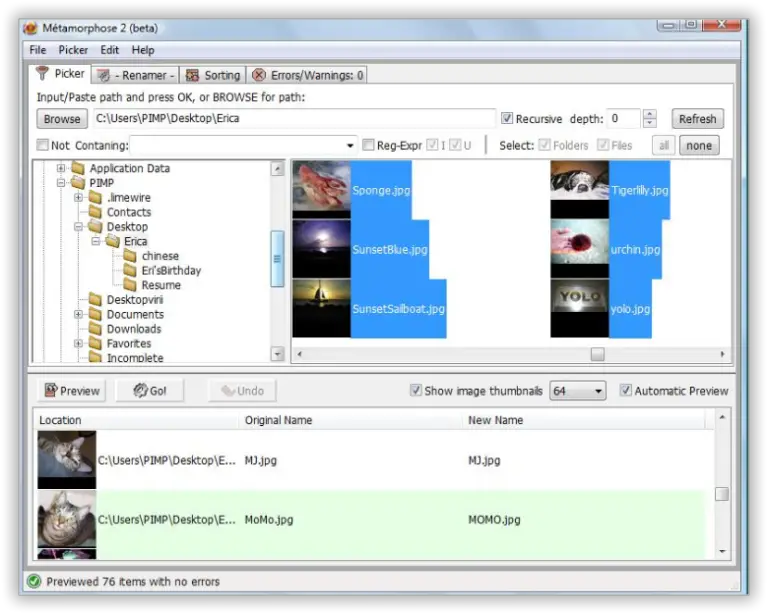 Bulk Rename Utility Tools For Windows 10 To Organize All Your Files
