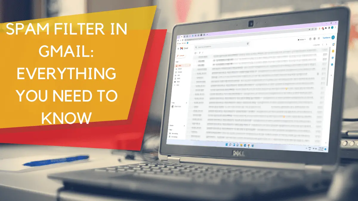 Spam Filter In Gmail: Everything You Need To Know