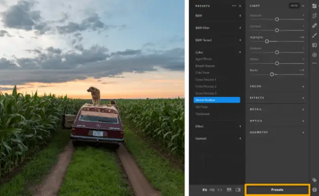 Best Adobe Products To Meet All Your Creative Needs