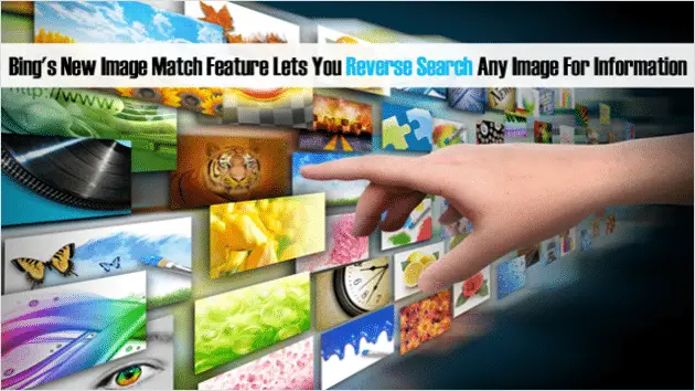 Bing's New Image Match Feature Lets You Reverse Search Any Image